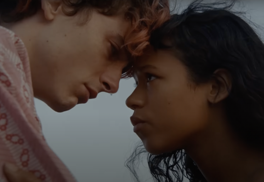 Тимоти Шаламе в новом трейлере «Целиком и полностью» | Кино | Time Out