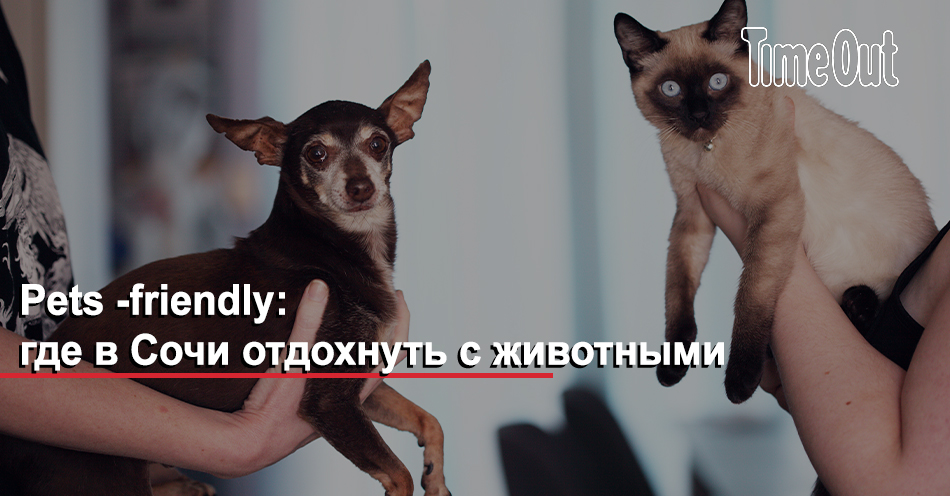 Pets-friendly: где в Сочи отдохнуть с животными | Город | Time Out