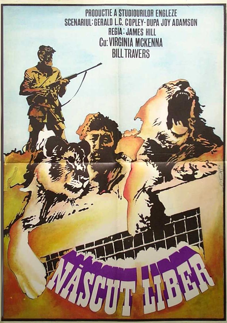 Фильм Рожденная свободной (Великобритания, США, 1966): трейлер, актеры ...